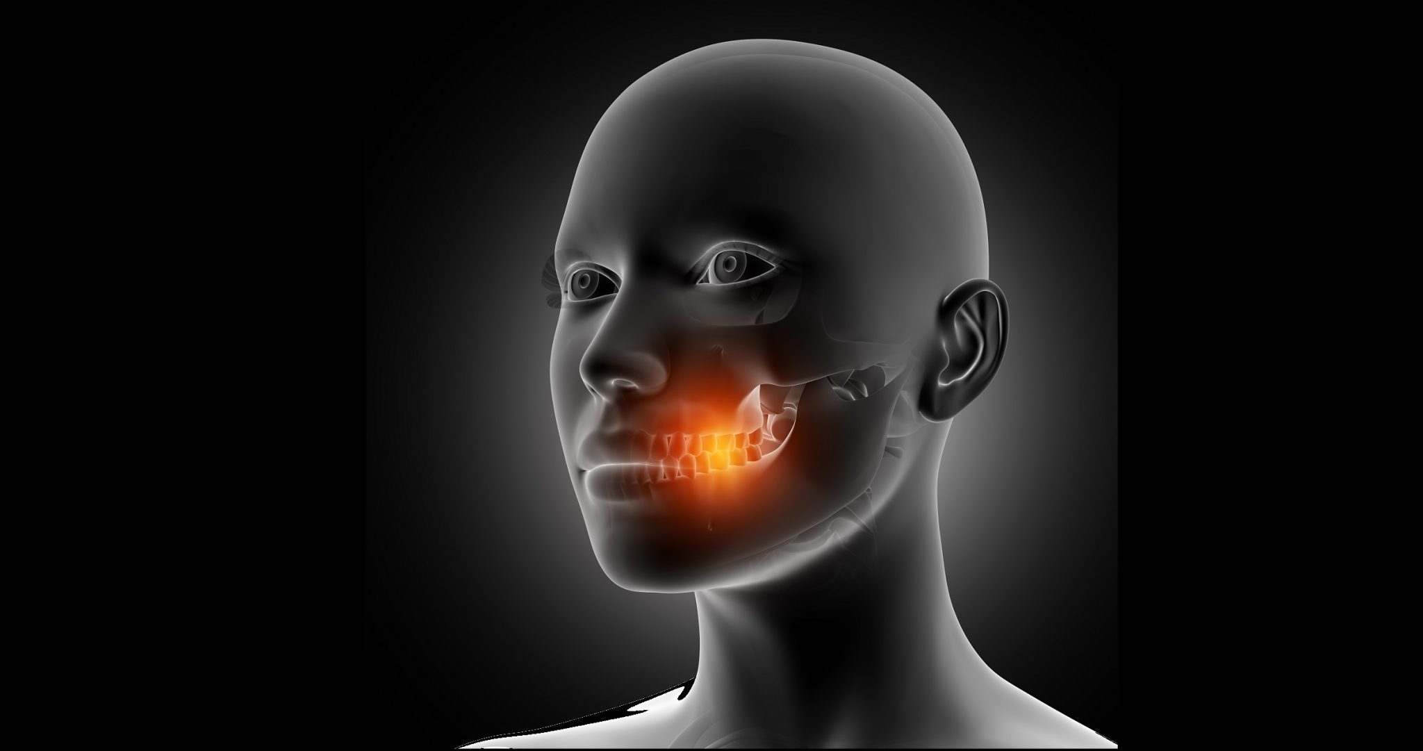 Low Cheekbones vs High Cheekbones (Real Differences) - Max Fax Zygoma ...